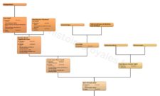 Origines de la famille Mapelli Mozzi : les ancêtres nobles et le titre ...