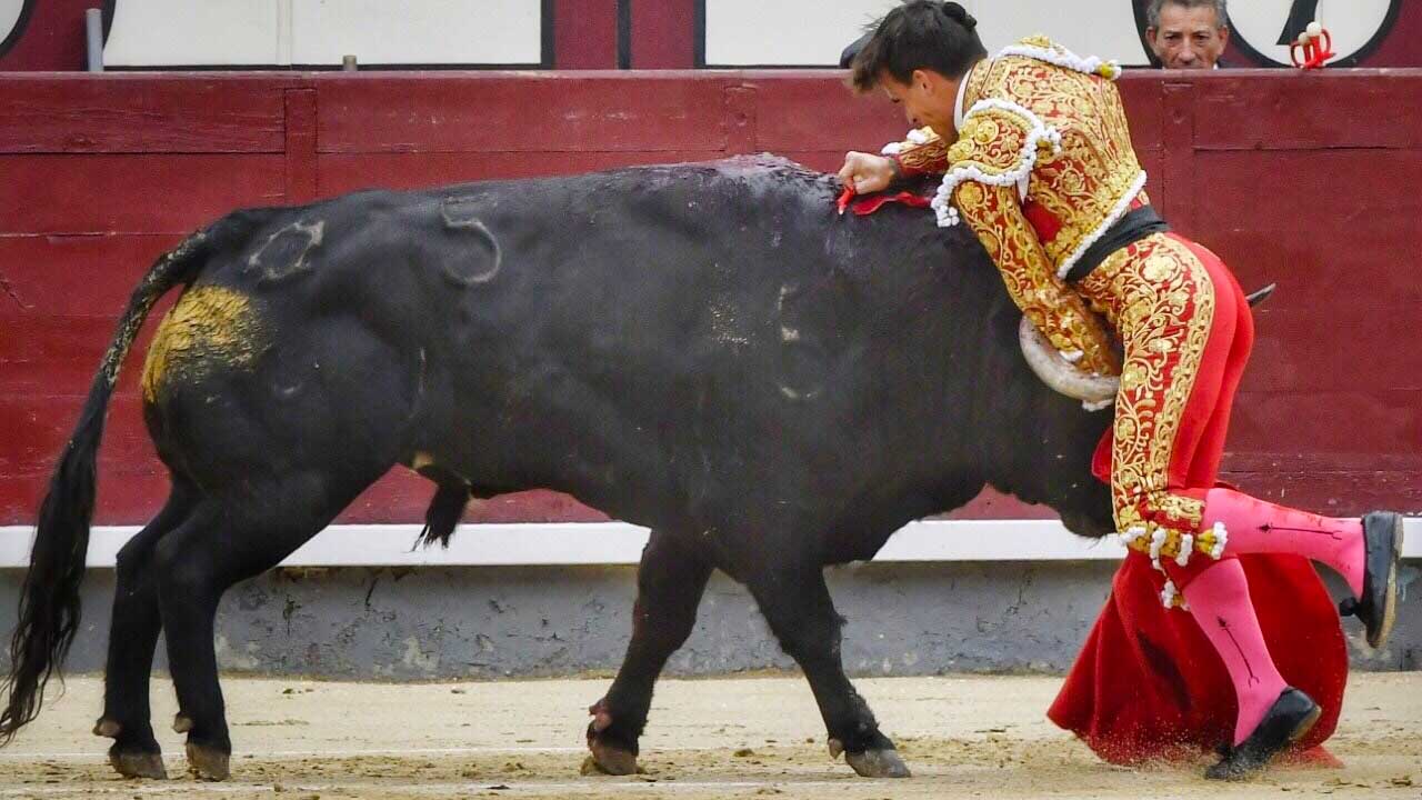La nièce de Felipe VI assiste au grave accident de son petit ami torero