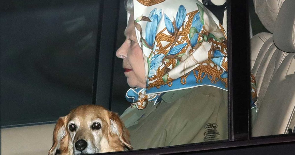 Elizabeth II n'a plus qu'un chien : son dorgi Vulcan est décédé