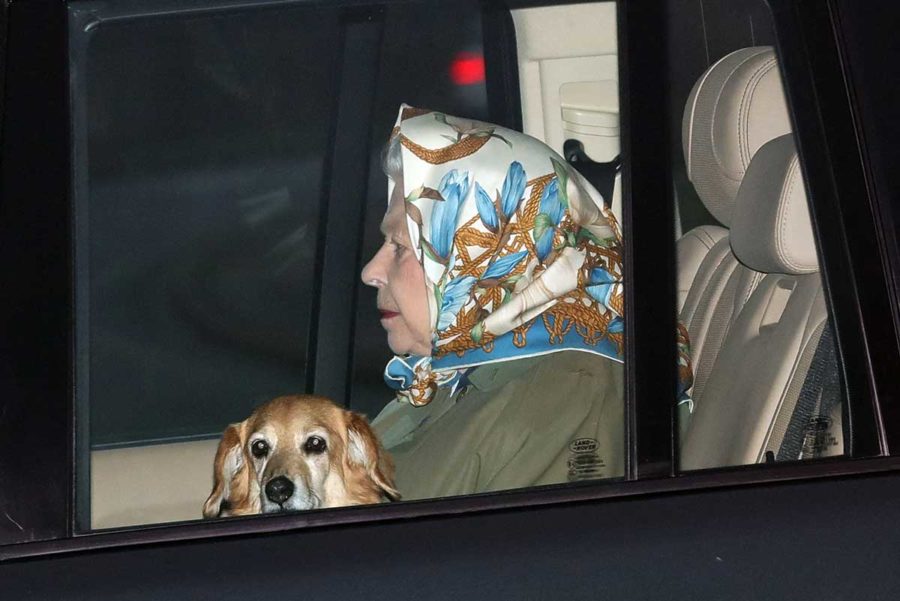 Elizabeth II n'a plus qu'un chien : son dorgi Vulcan est décédé