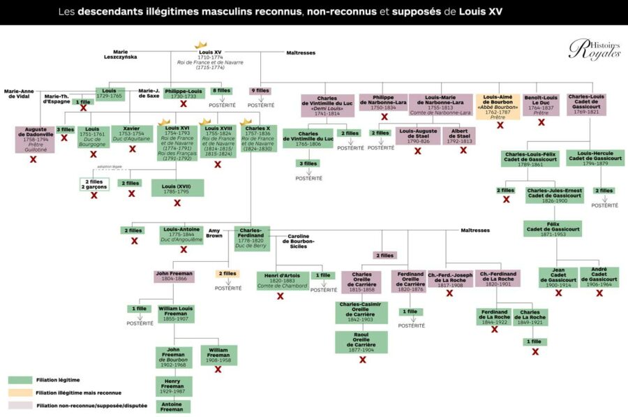 Le descendant des derniers rois de France révélé par un test ADN ...