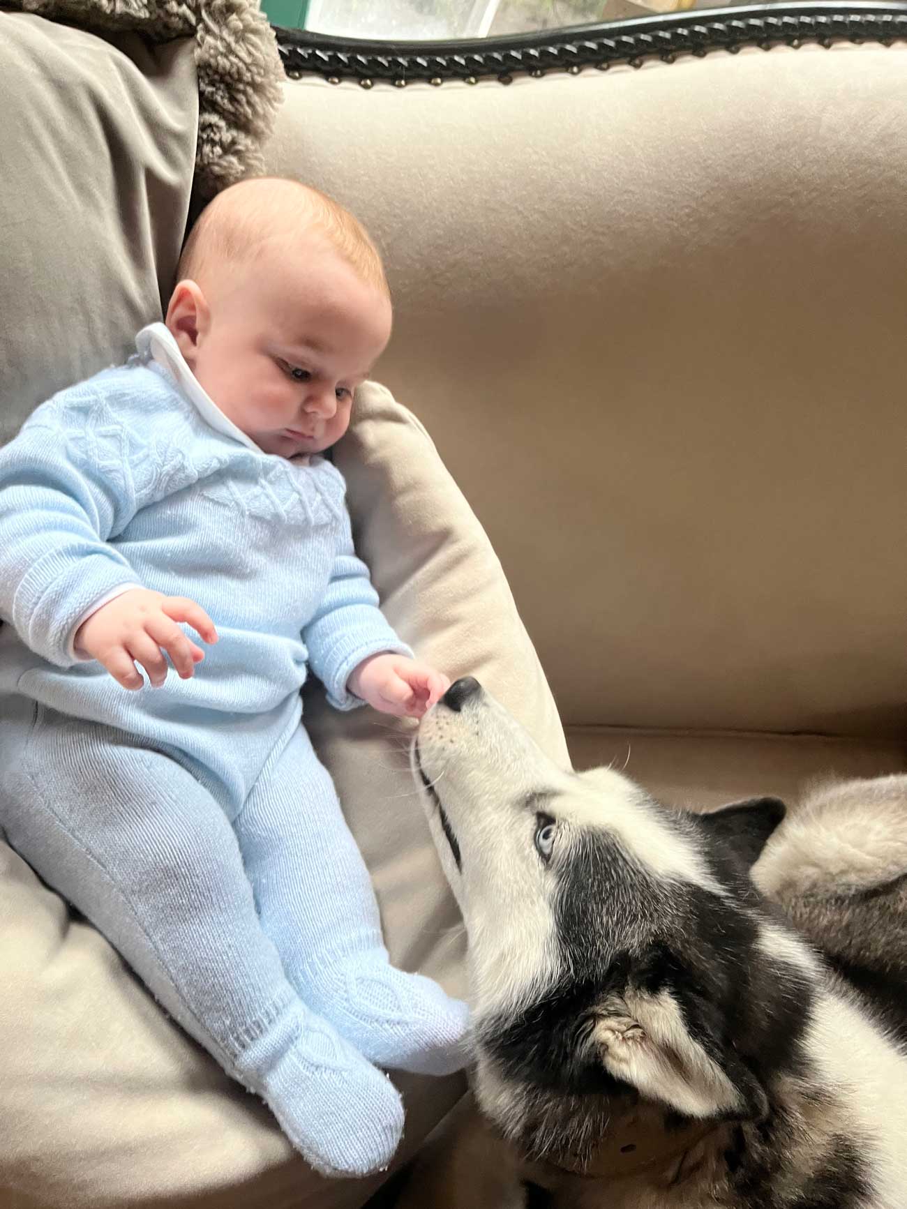 Moments de tendresse entre le petit prince Alexandre Romanov et son ...