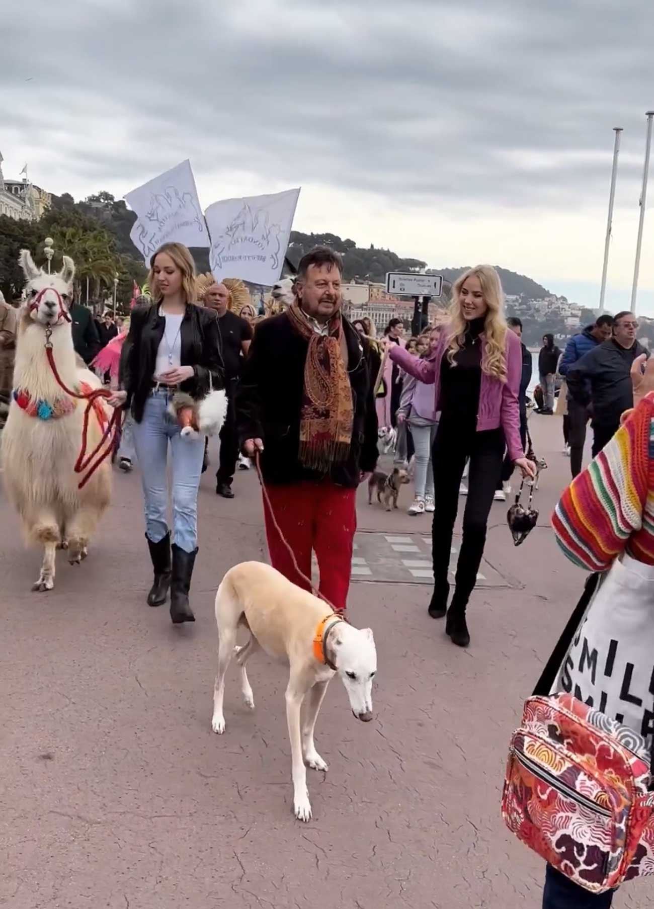 La marche des animaux avec les princesses Maria Carolina et Maria ...