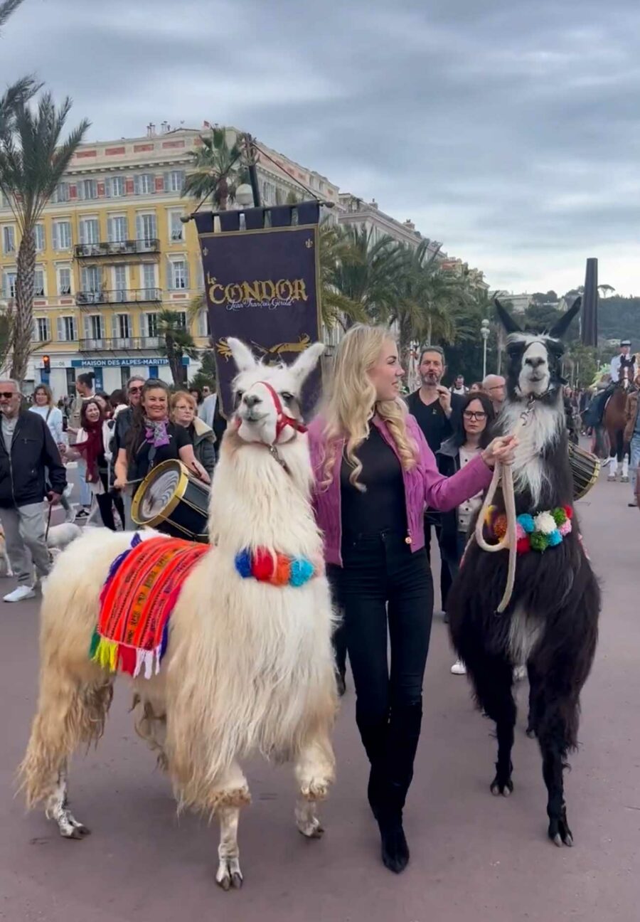 La marche des animaux avec les princesses Maria Carolina et Maria ...