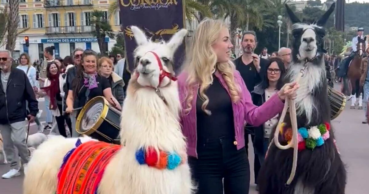 La marche des animaux avec les princesses Maria Carolina et Maria ...