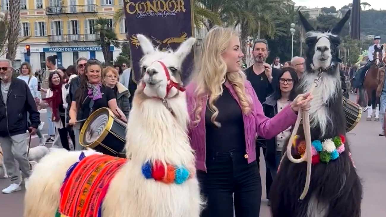 La marche des animaux avec les princesses Maria Carolina et Maria ...