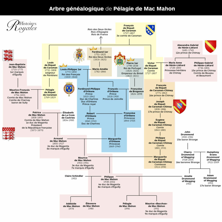 Mariage du prince Amaury de Bourbon-Parme et Pélagie de Mac Mahon : un ...