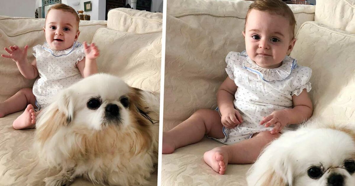 Le prince Alexandre Georgiévitch Romanov et son chien Busia à Hammamet