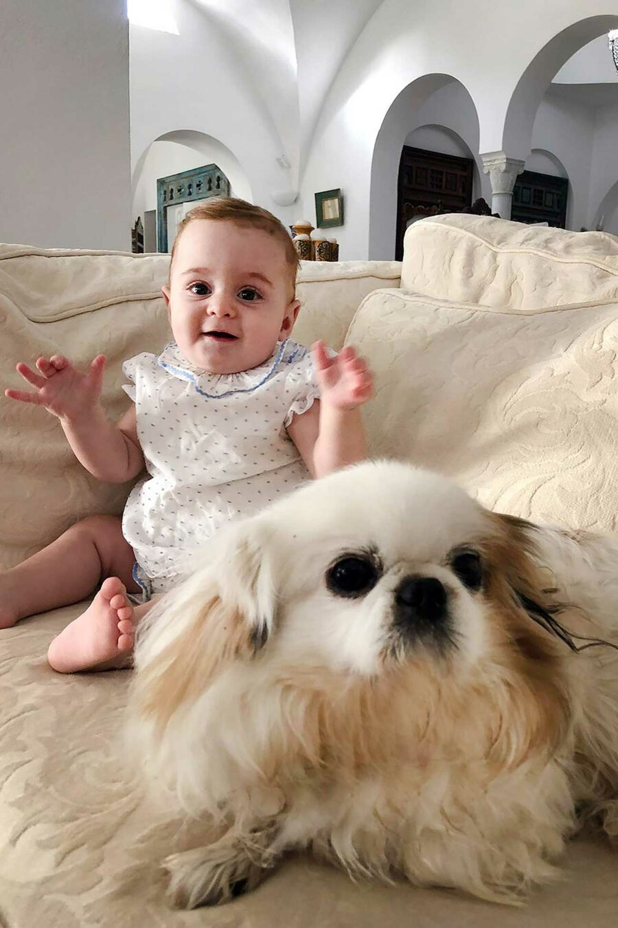 Le prince Alexandre Georgiévitch Romanov et son chien Busia à Hammamet