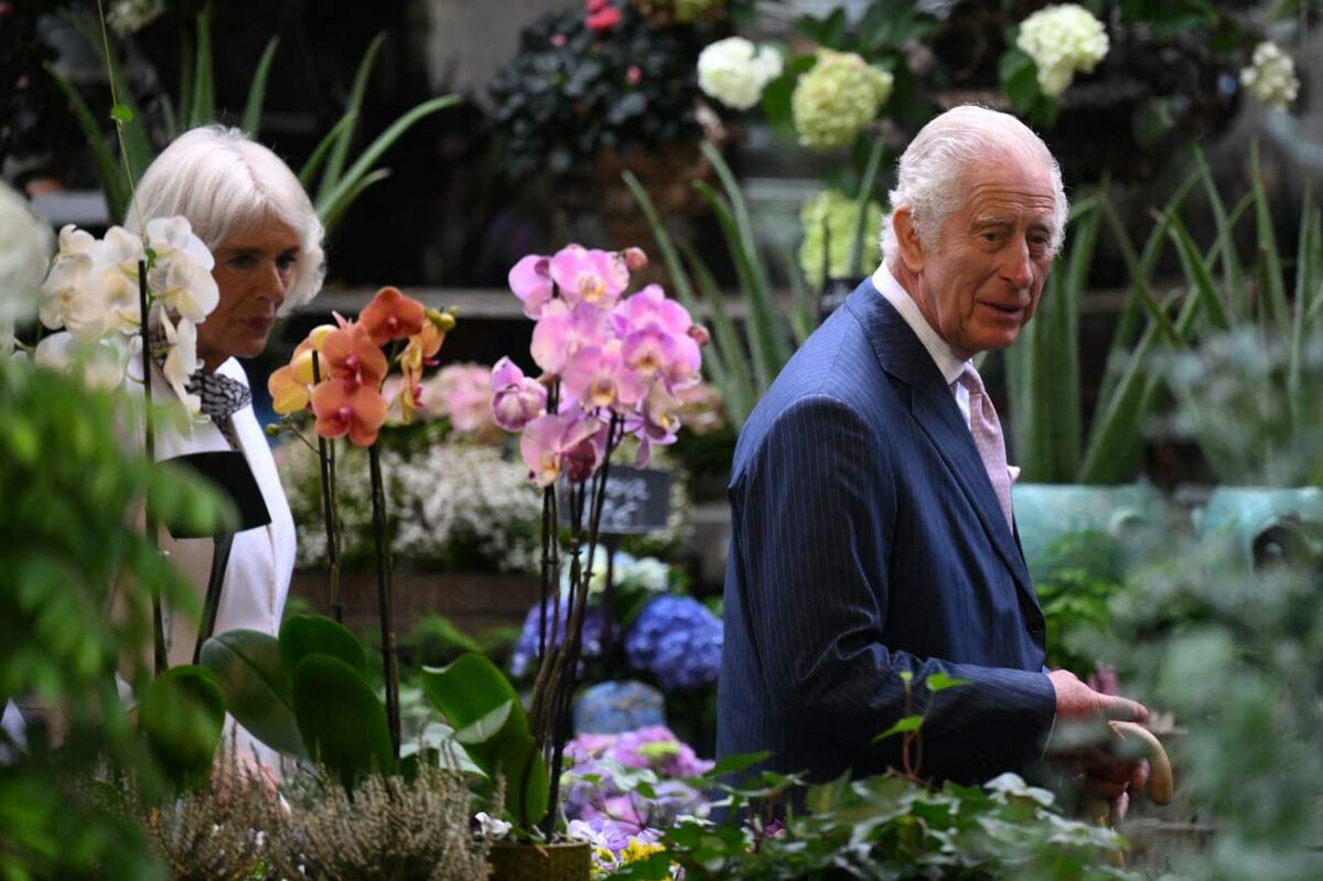 Le roi Charles III visite le marché aux fleurs de l'île de la Cité ...