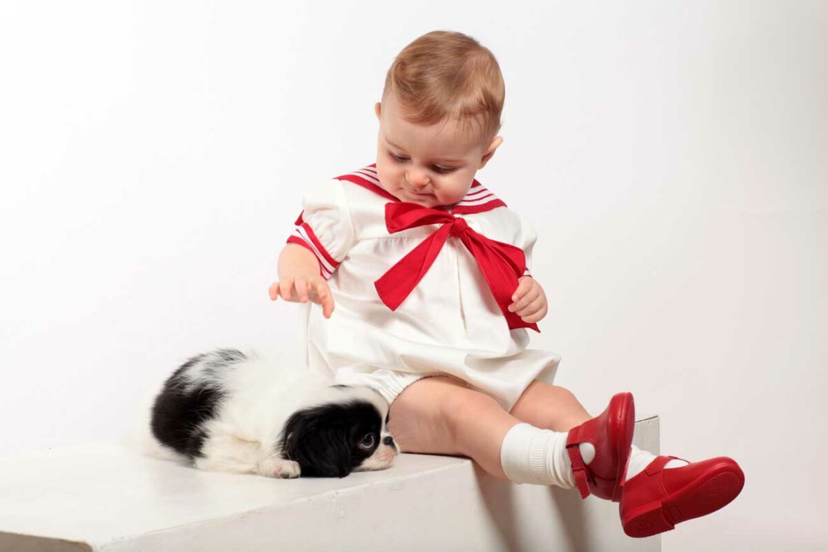 Le prince Alexandre Romanov apprivoise son nouveau chien Ming