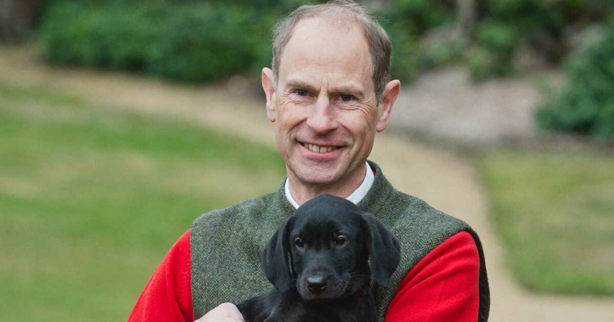 Le prince Edward nommé chevalier de l'ordre du Chardon pour ses 60 ans