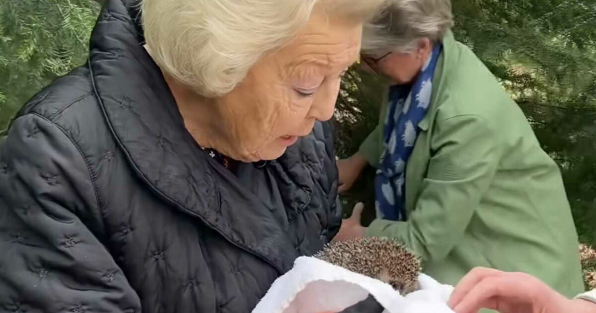 La princesse Beatrix relâche quatre hérissons dans les jardins du ...