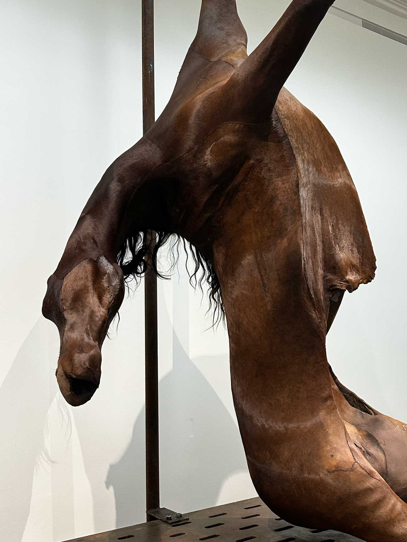 La reine Mathilde guidée par Berlinde De Bruyckere à travers son exposition