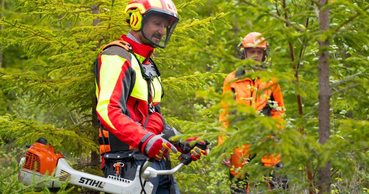 Le prince héritier Haakon s'essaie au métier de garde forestier